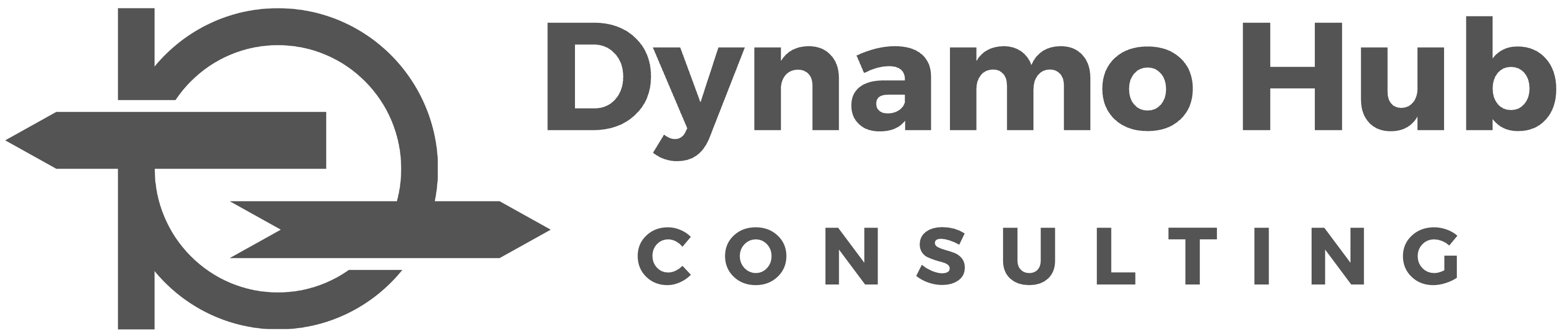 Dynamo Hub Consulting New Zealand